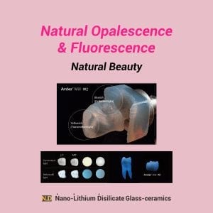 HASS Dental Materials Blocks and Disks | CAD-Ray.com